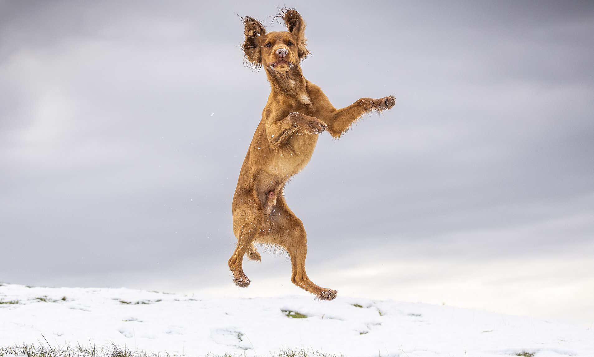 Scotland's icy blast set to turn to rain this weekend after chilliest ...