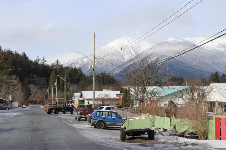 2 in critical condition after grizzly bear attack involving children in ...