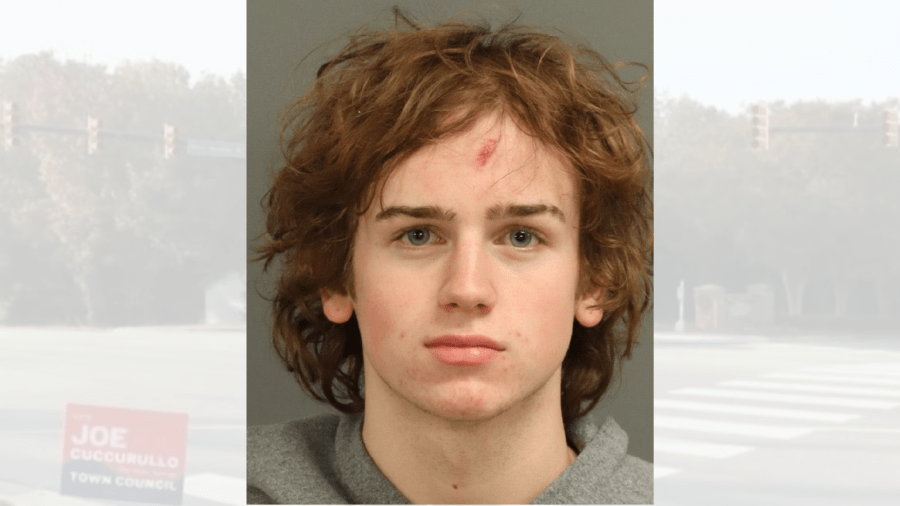 Teen driver in deadly Holly Springs DWI crash faces decades in prison ...