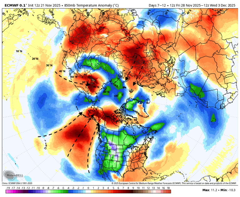 A polar vortex disruption not seen this early in 25 years could hit ...