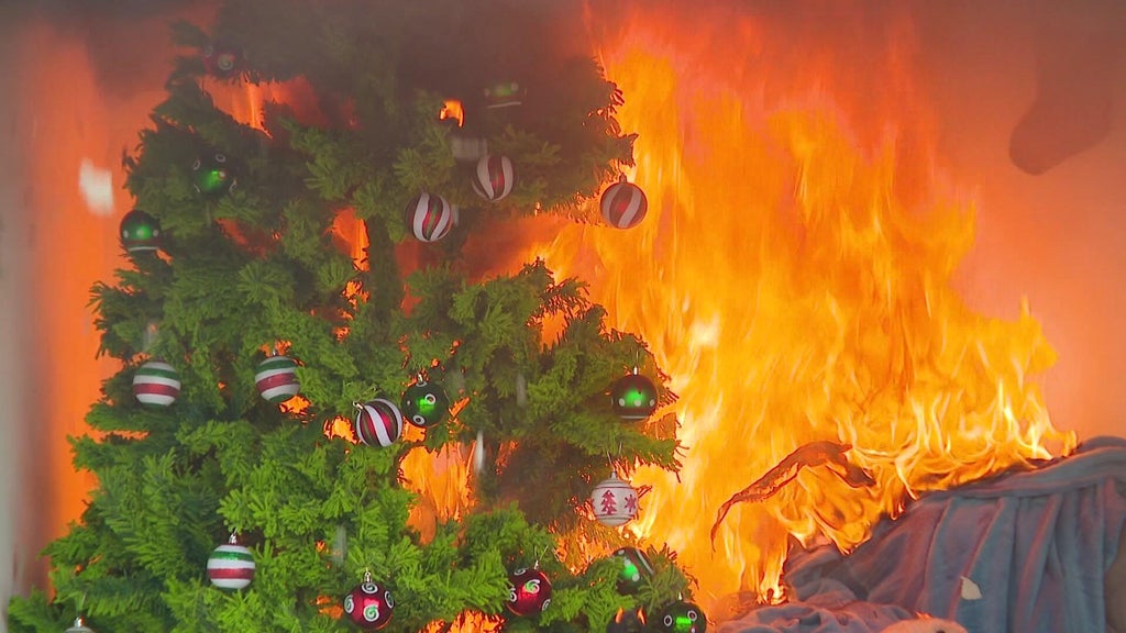 How to keep your home safe from fire this holiday season