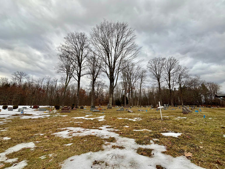 Bake sale to fundraise for digital map of Skandia cemeteries