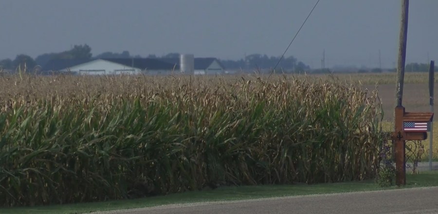 From the Farm: Corn research ahead of 2026 planting