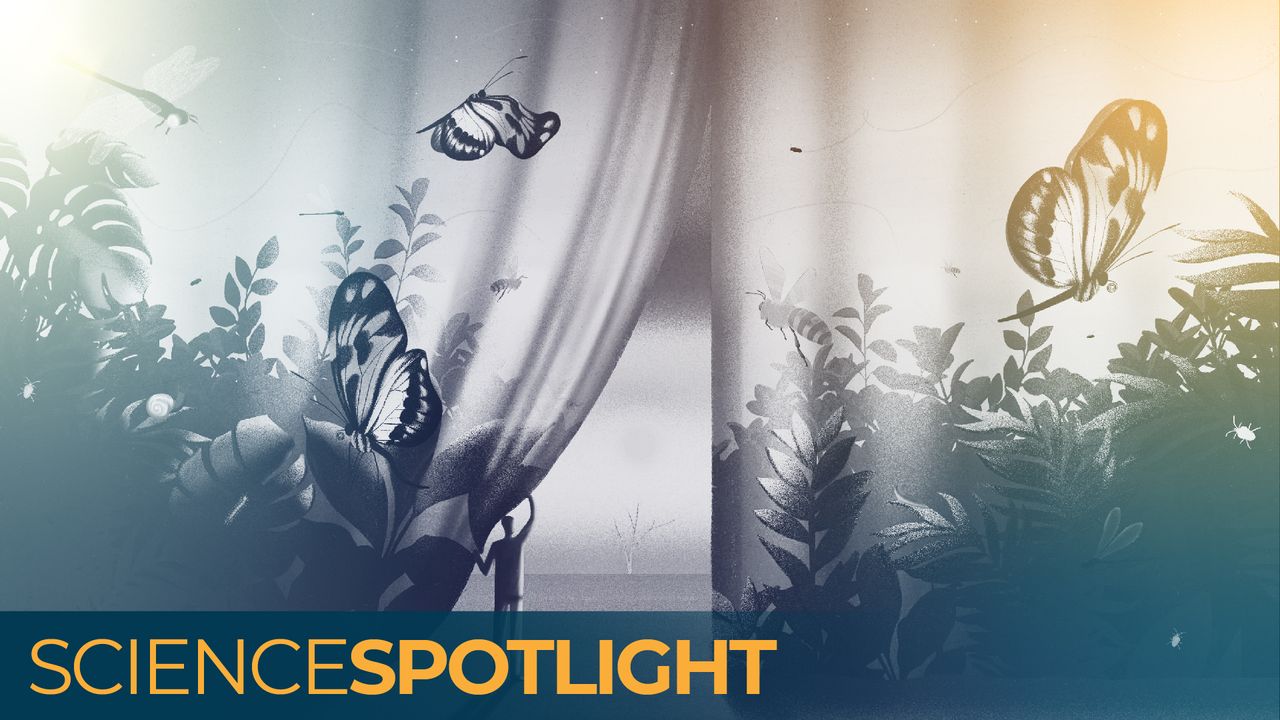 A looming 'insect apocalypse' could endanger global food supplies. Can ...