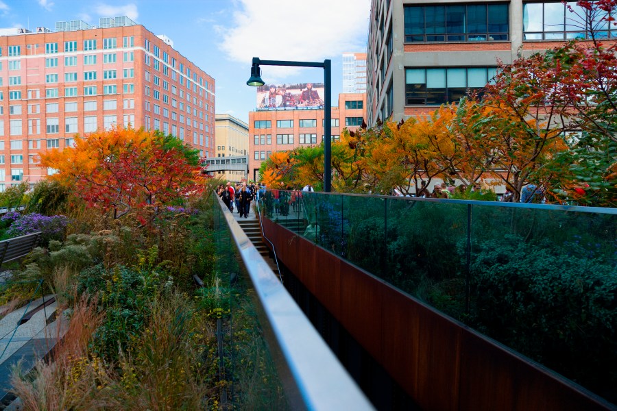 Man accused of attacking 2 kids, ages 2 and 7, at NYC tourist spot: docs