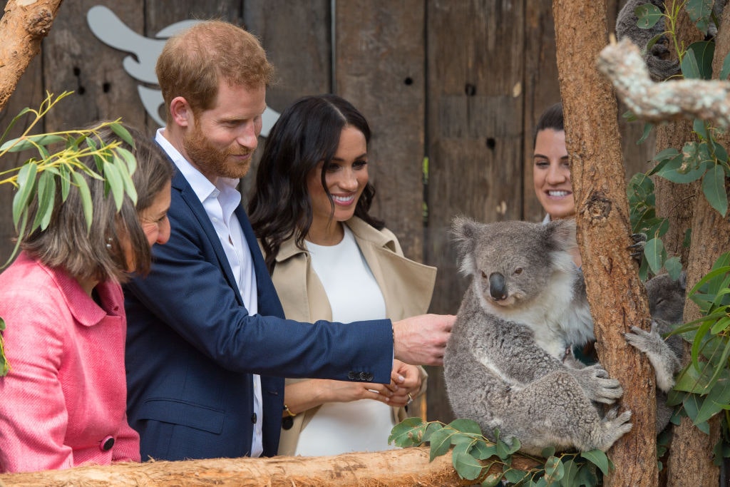 Prince William’s seething as Prince Harry & Meghan Markle use royal ...