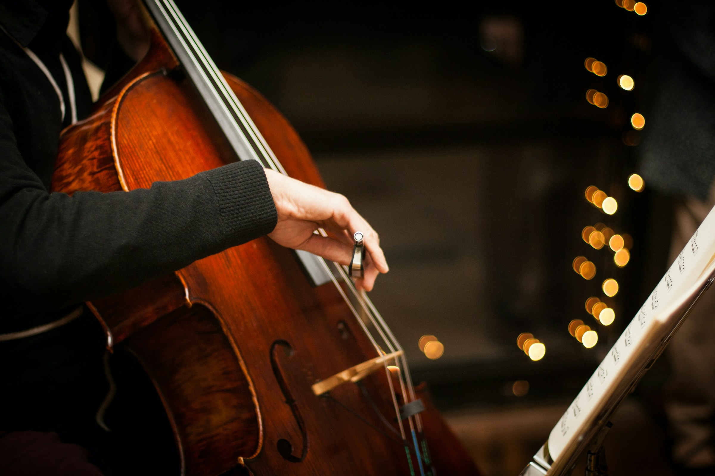 World’s Priciest Instruments