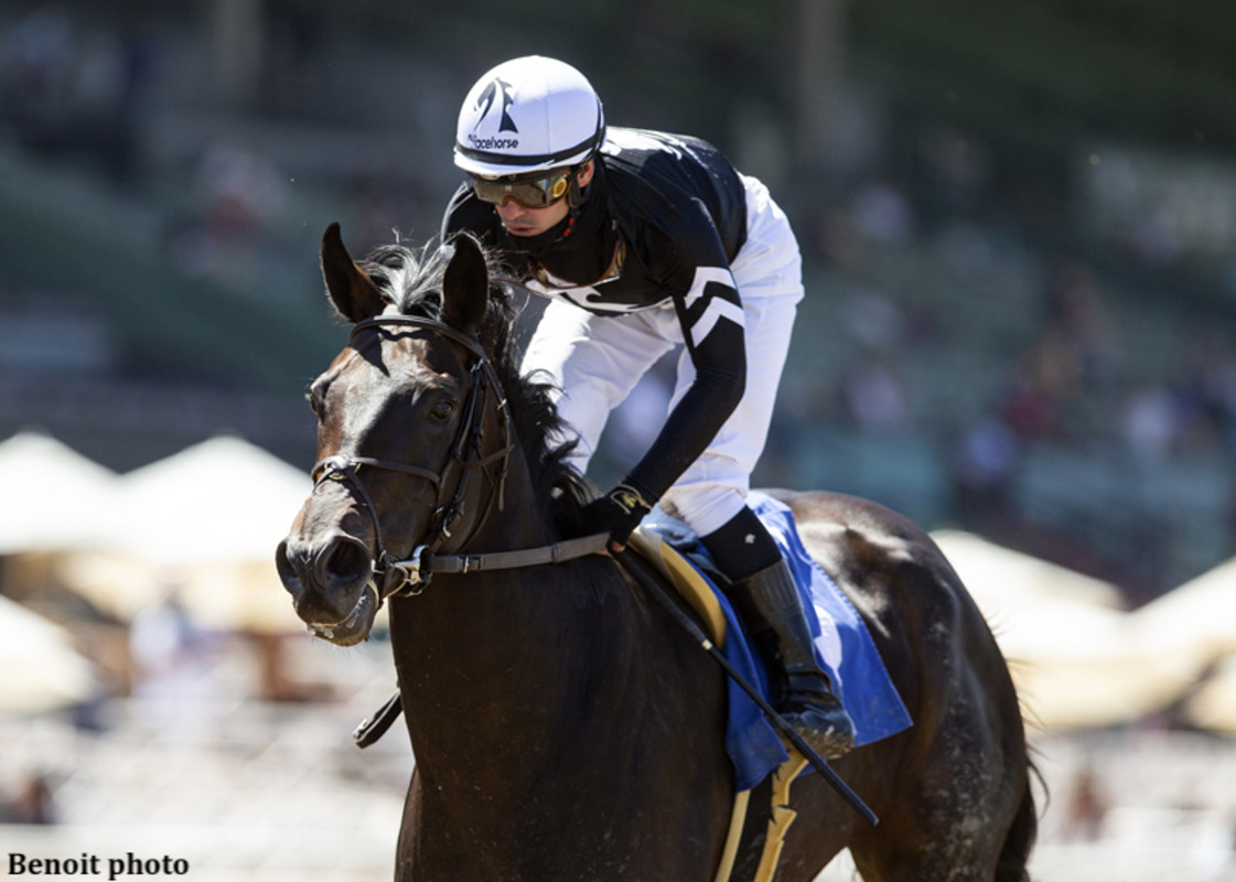 California Stallion Tizamagician Changes Hands, Will Remain at Milky ...