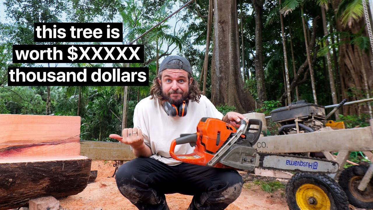 I milled timber from fallen trees!