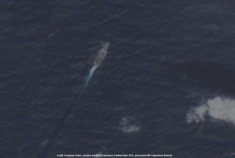 Satellites show US carrier strike group in contested South China Sea