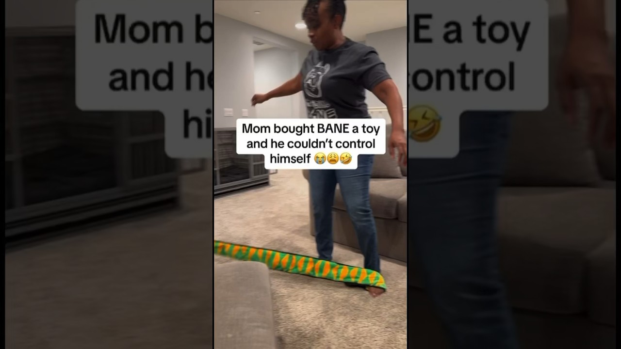 Mom seems to enjoy dog’s toys even more than he does