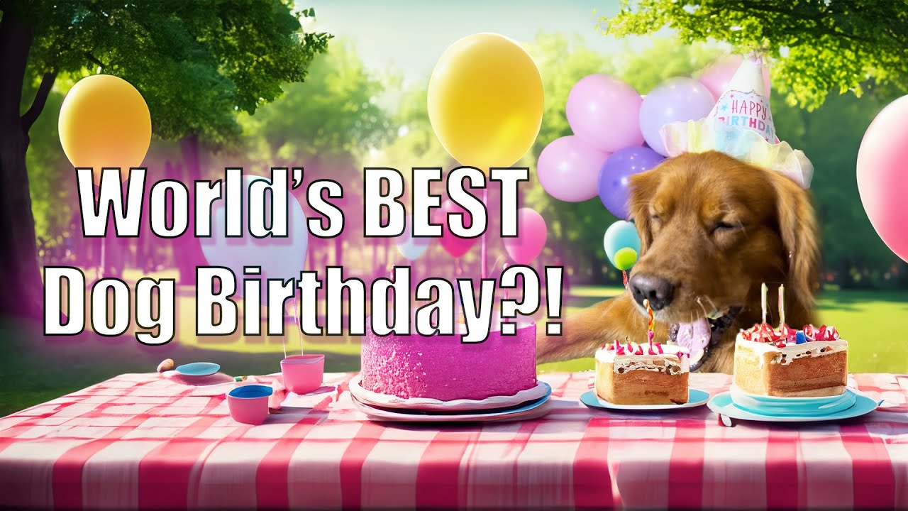 Luna’s 7th birthday bash: Epic dog pool party & bouncy castle fun!