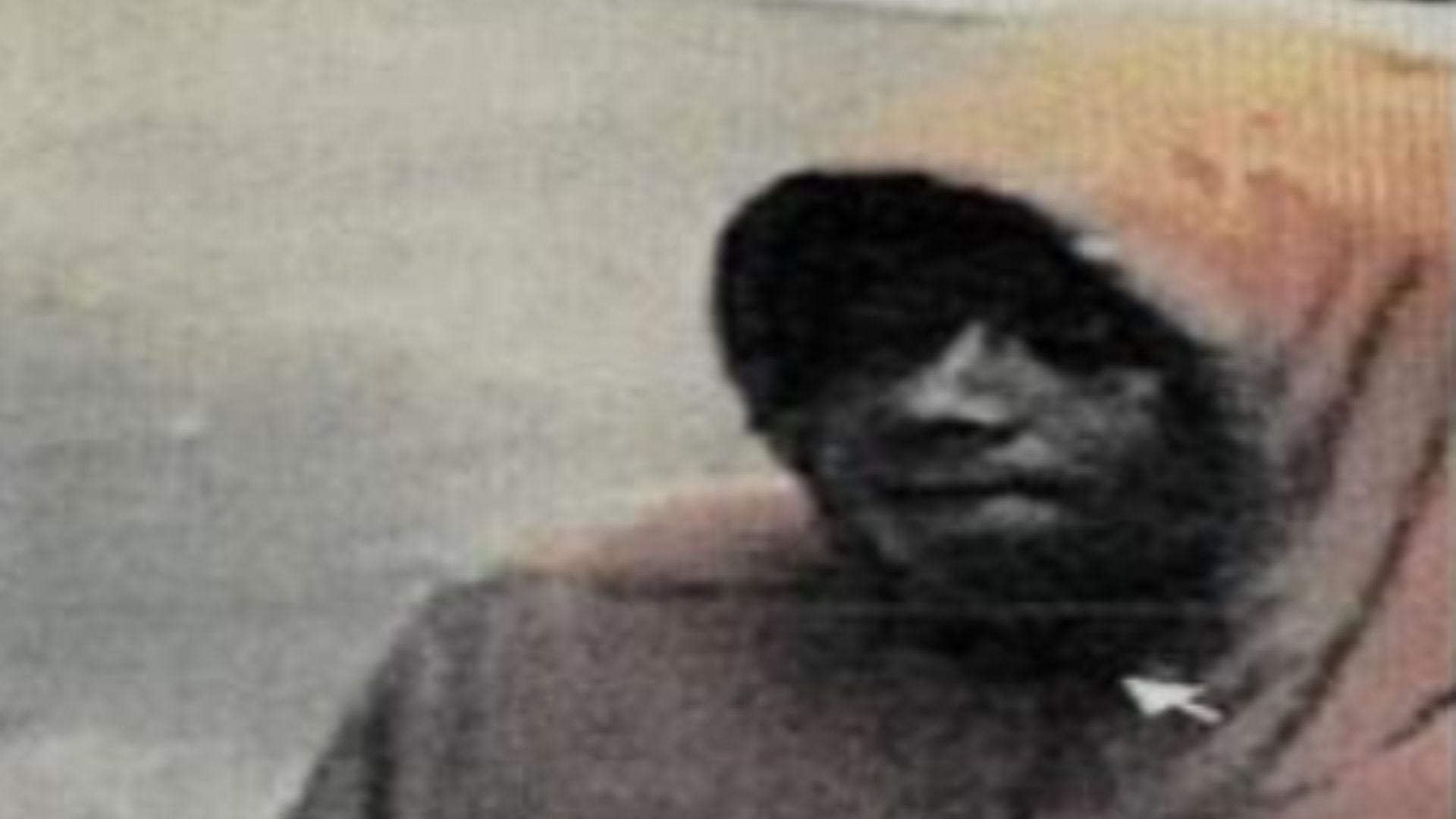 Woman being followed moments before being shot, killed. Police want to ...