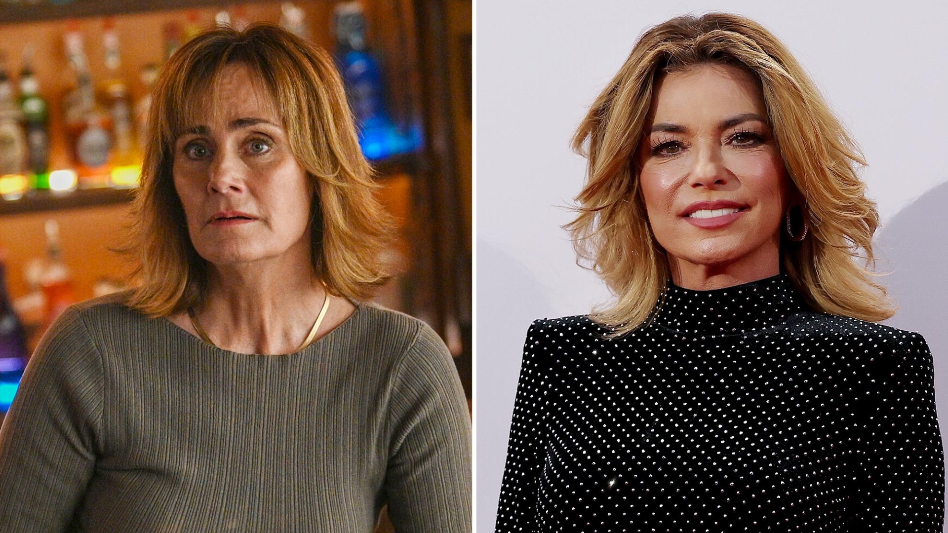 Fire Country's Diane Farr Teases 'Sheriff Country' Role for Shania Twain
