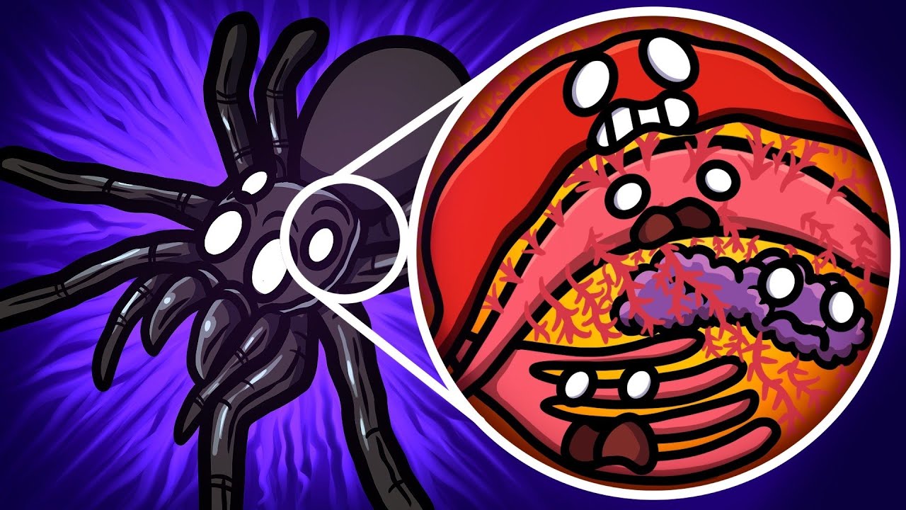 How do our bodies stack up against bugs?