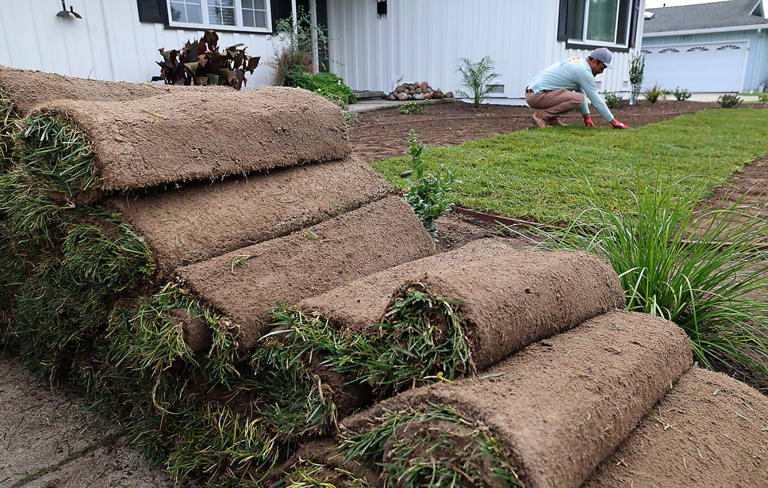 Photo | Laying down sod in Santa Cruz