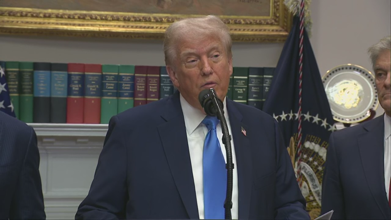 President Trump blames fatal Minneapolis ICE shooting on 'Radical Left'