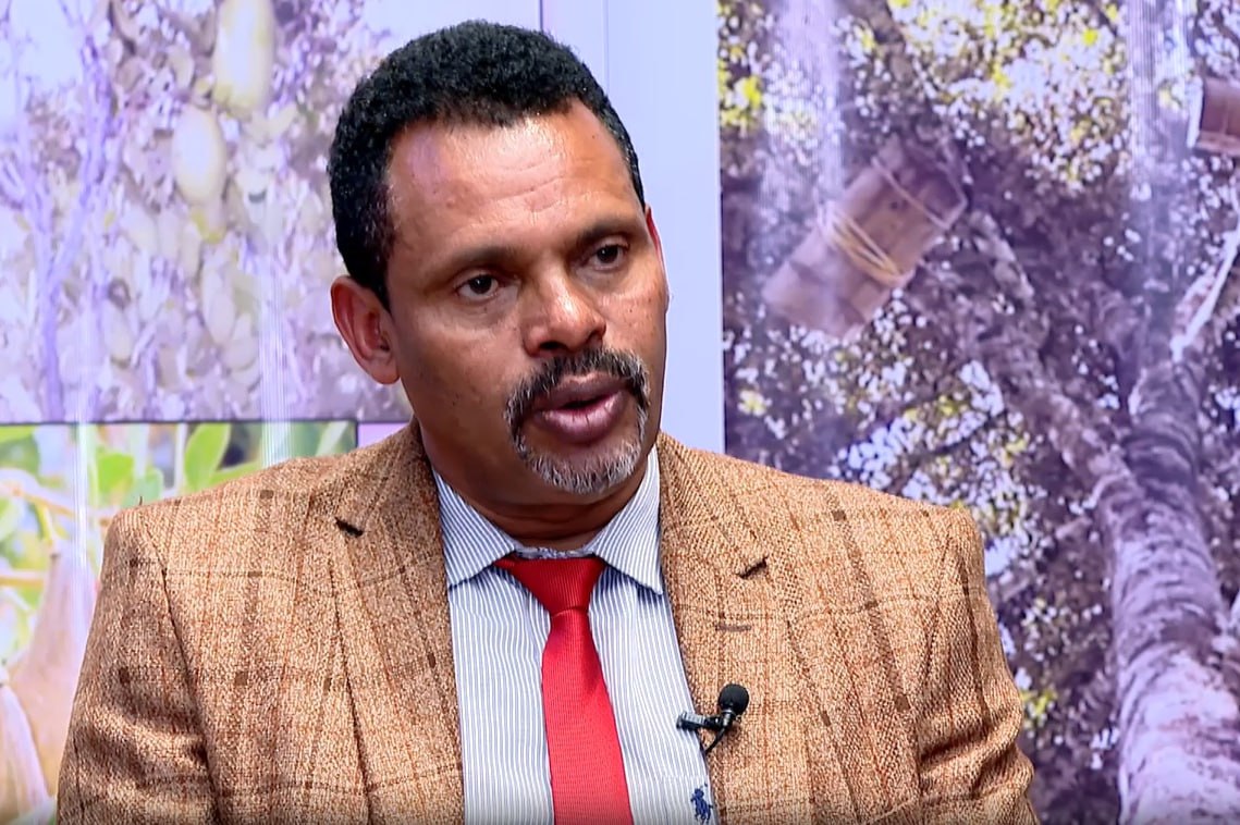 Ethiopia's Selection to Host COP-32 Affirms its Commitment to Combating ...