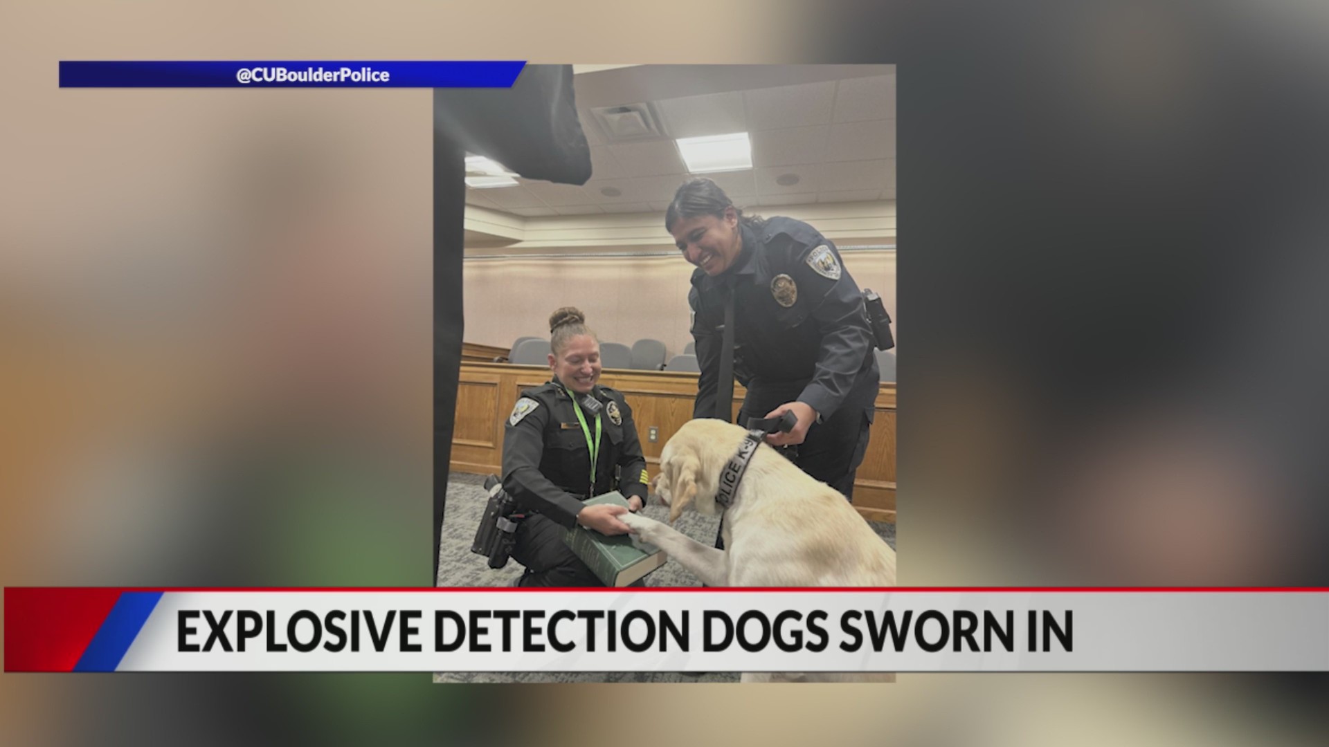 CU Boulder dogs trained in explosive detection sworn in