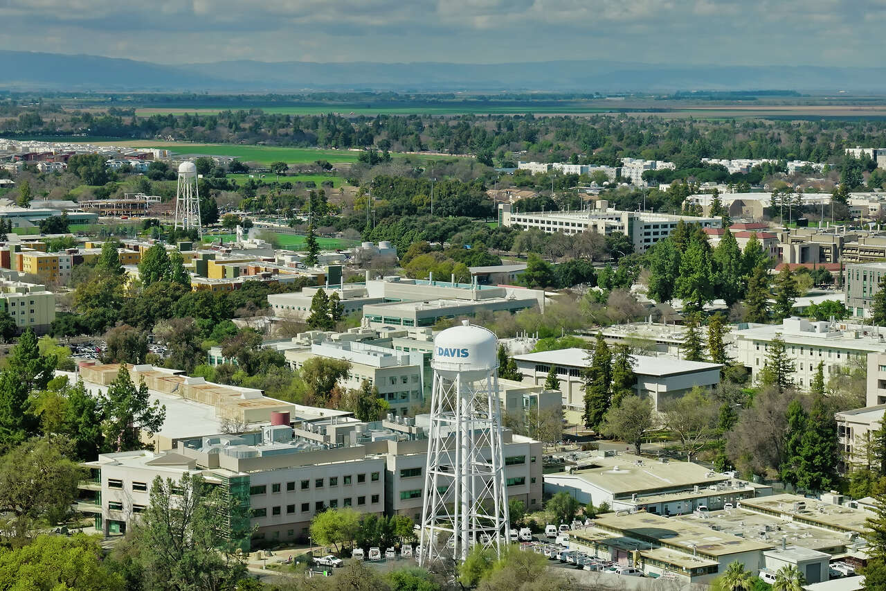 Prosecutors cite cannabis 'psychosis' theory in UC Davis stabbing spree