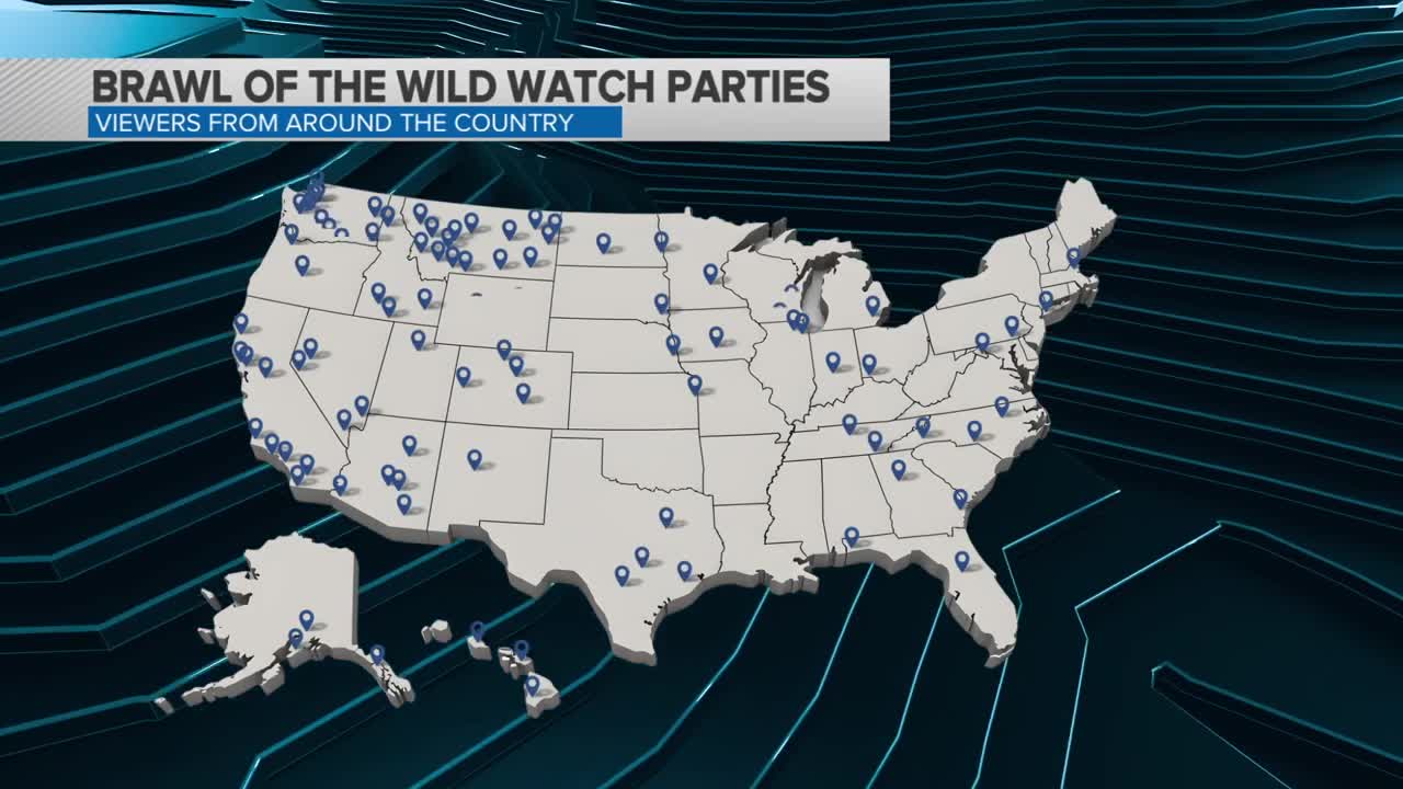 Fans, restaurants across the country gear up for Cat-Griz Brawl of the Wild