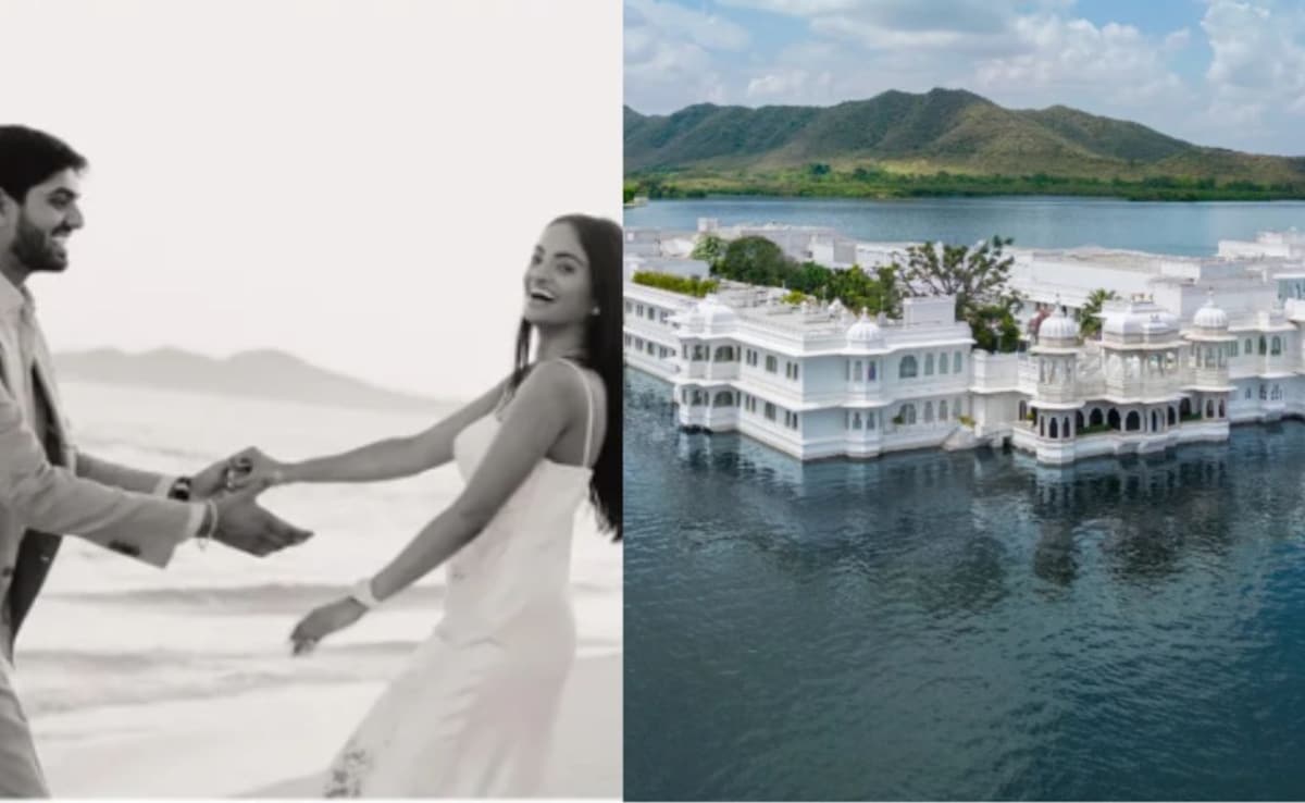 Netra Mantena-Vamsi Gadiraju: Billionaire Bride-Groom And Their Million ...