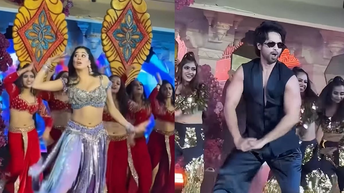 Grand Udaipur Wedding: Shahid Kapoor, Madhuri Dixit, Varun Dhawan ...