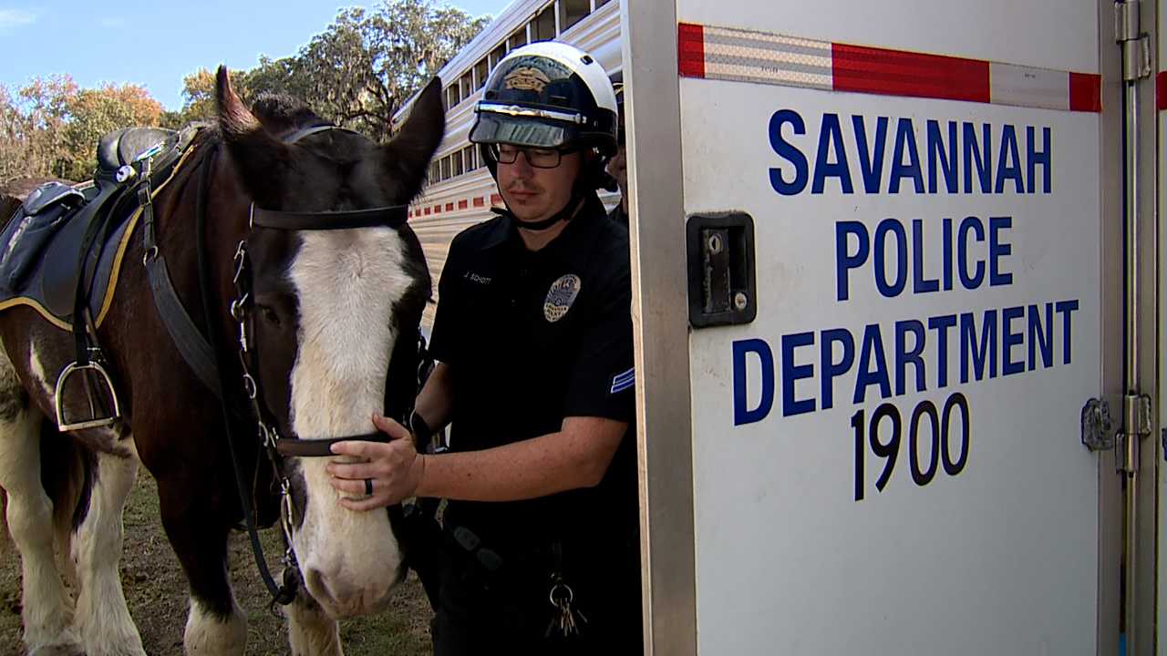 Mounted Patrol: The new tool that could help the Savannah Police ...