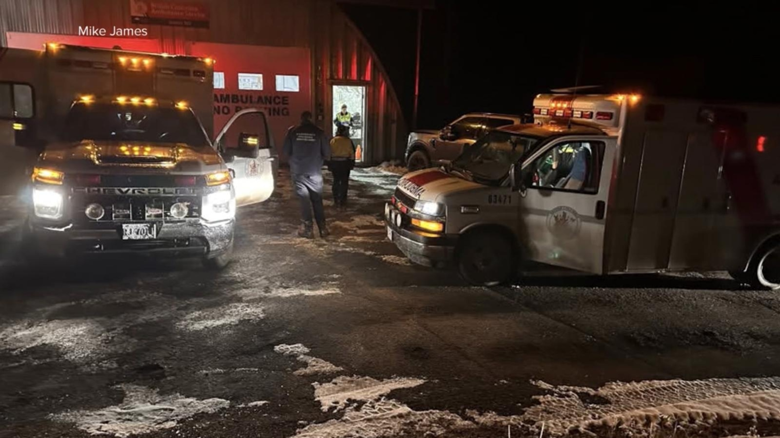 Grizzly bear attacks school teachers and children in Canada, injuring 11