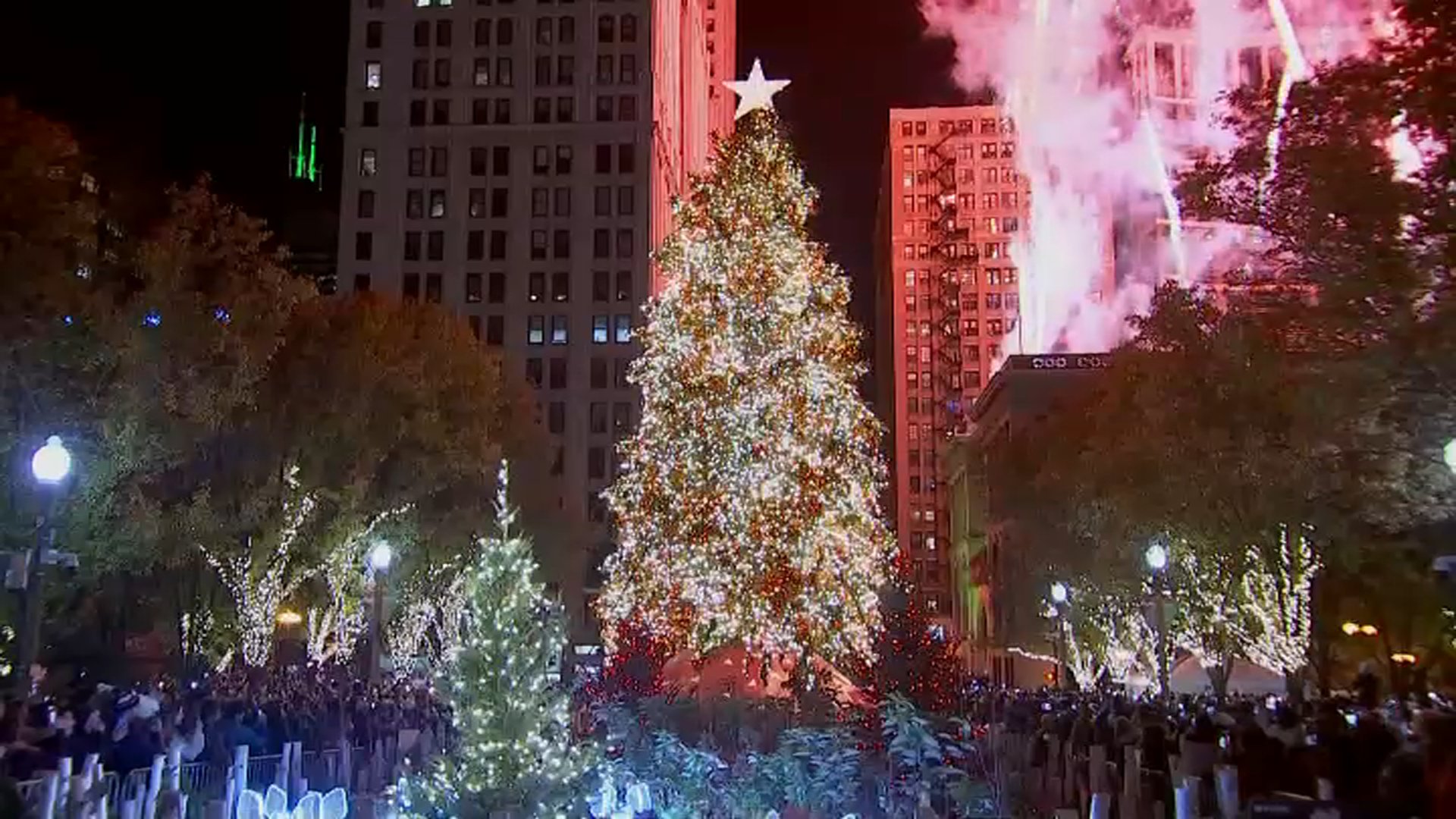 Inicia la temporada festiva en Chicago con la iluminación del árbol de ...