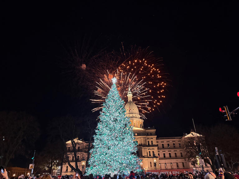 The search for Michigan’s 2026 state Christmas tree is already underway