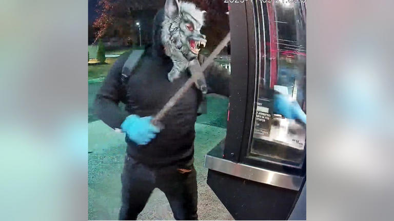 Suspect wearing wolf mask arrested for robbery in Woodbury: police