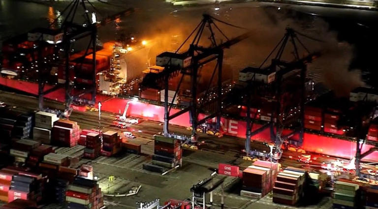 Los Angeles port fire: Container ship carrying hazardous materials burns