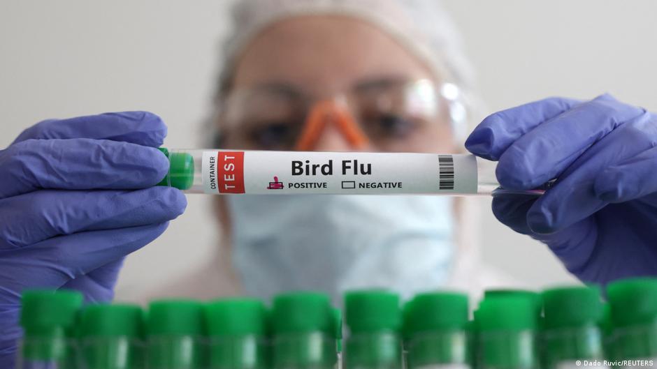 First case of H5 bird flu confirmed in Australia