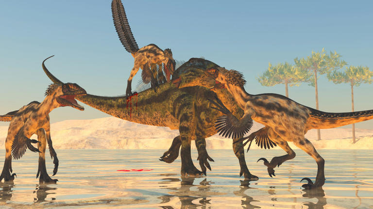 New Dinosaur Fossil Discovery Changes What We Know About The Tenontosaurus