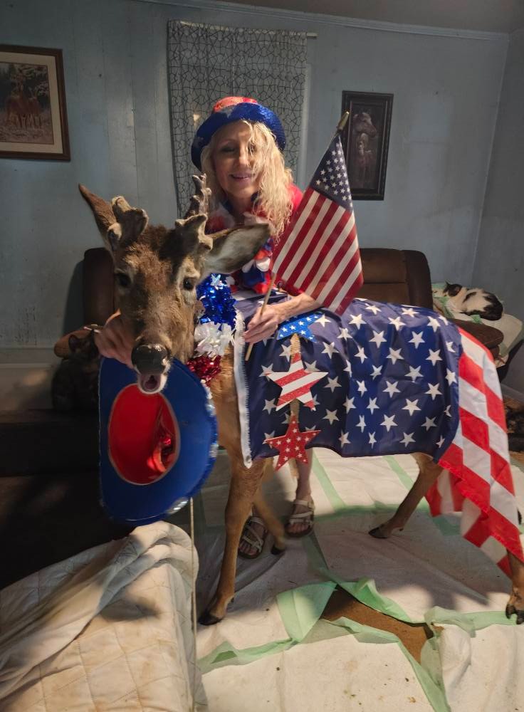 Grandma mauled to death by deer she rescued — raging controversy ...
