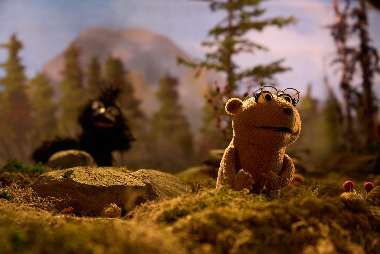 Yukon's homegrown nature show, made with puppets, back in production ...