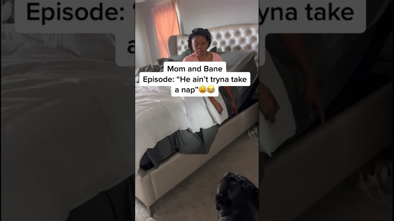 Dog refuses to nap and forces mom to beg for peace