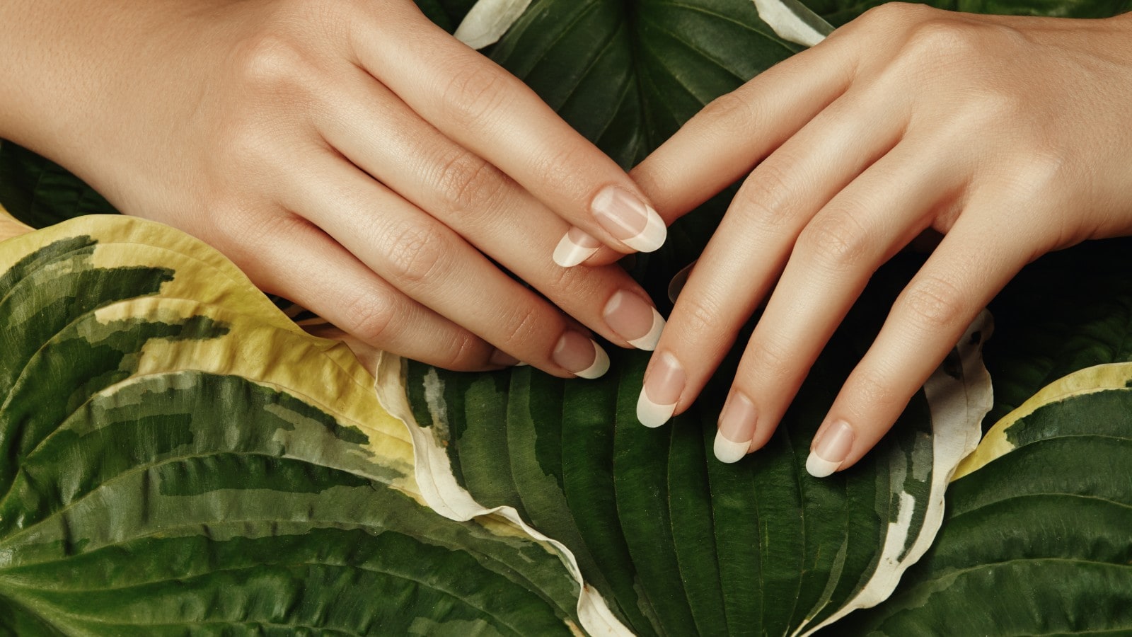 What do your nails say about your health? A dermatologist answers