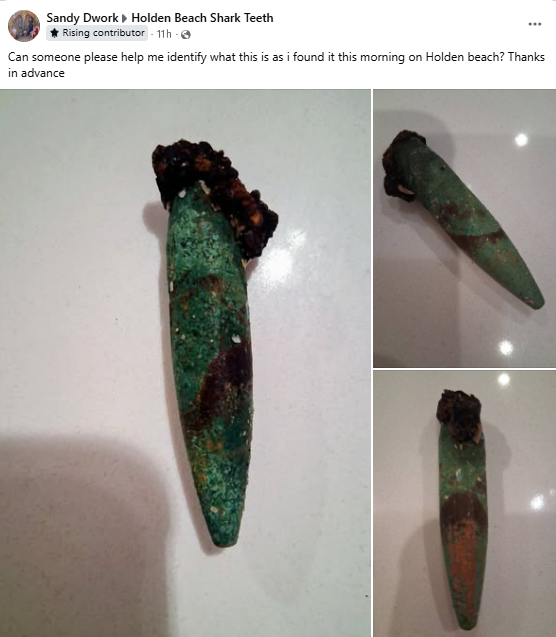 Search for shark's teeth at North Carolina beach leads woman to WWII ...