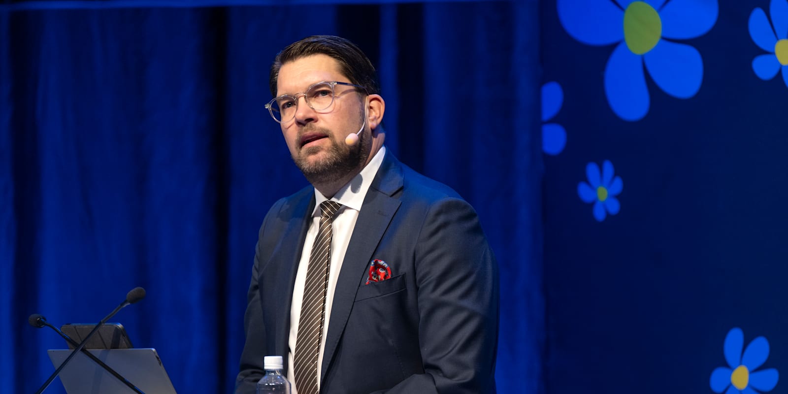 Åkesson: Släpper inte fram regeringen L vill se