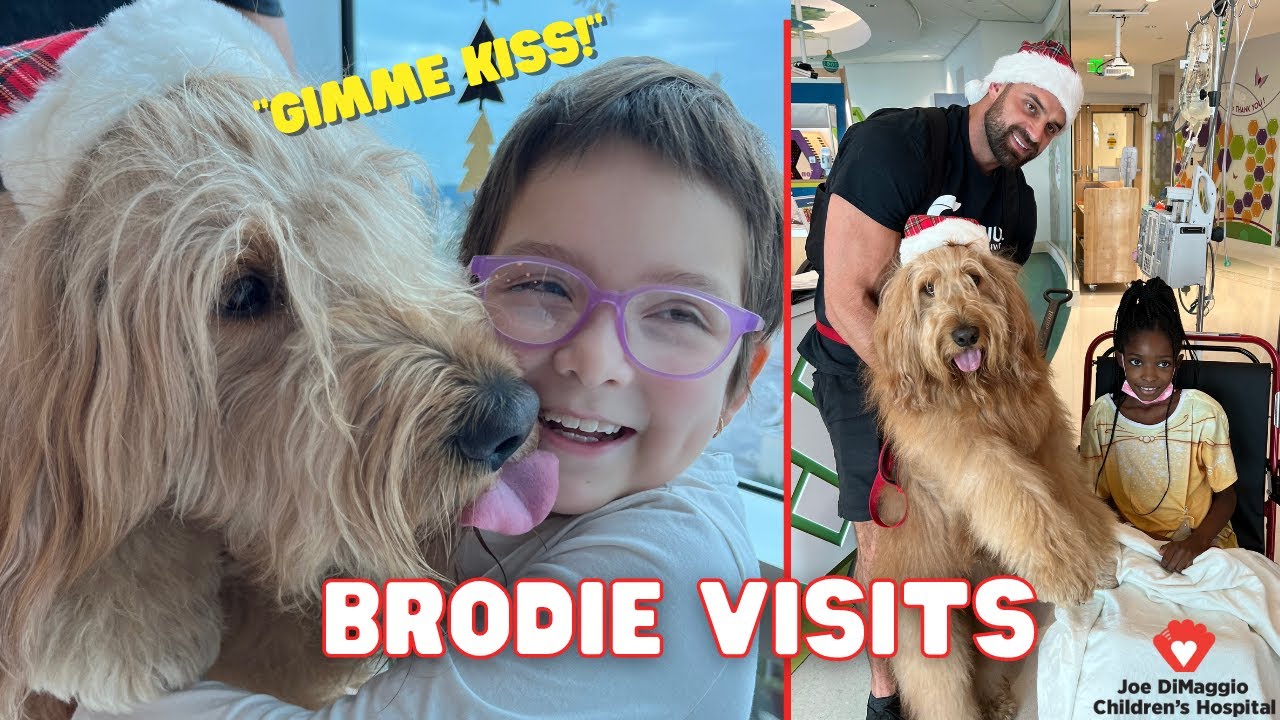 Spreading Christmas cheer with Brodie the Golden Doodle at Joe DiMaggio ...