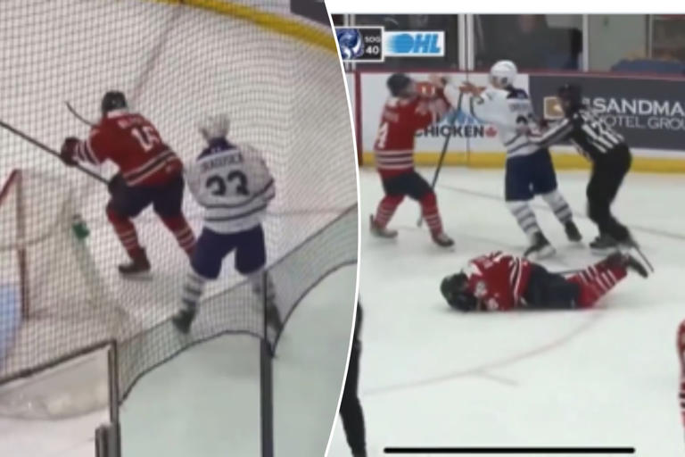 OHL player suspended for year after using ‘stick as a weapon’ to leave ...