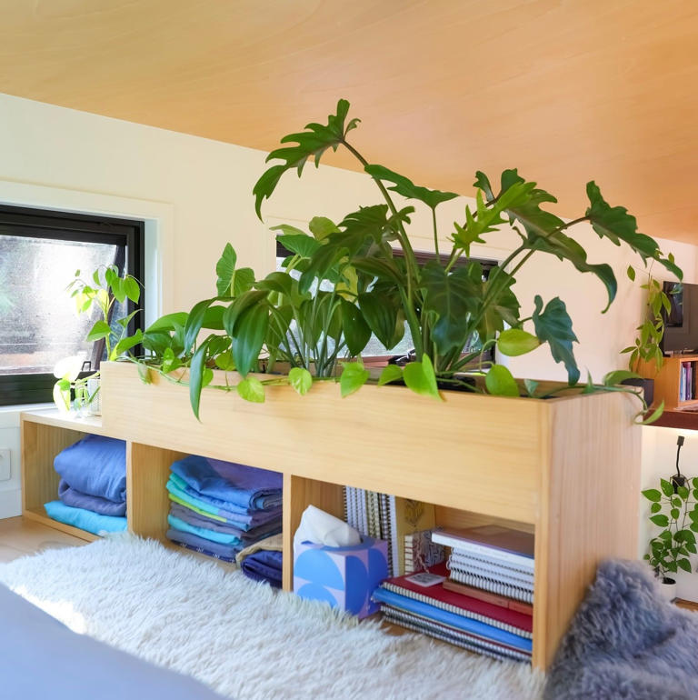When I moved into my tiny house, I became a minimalist. Here's how I ...