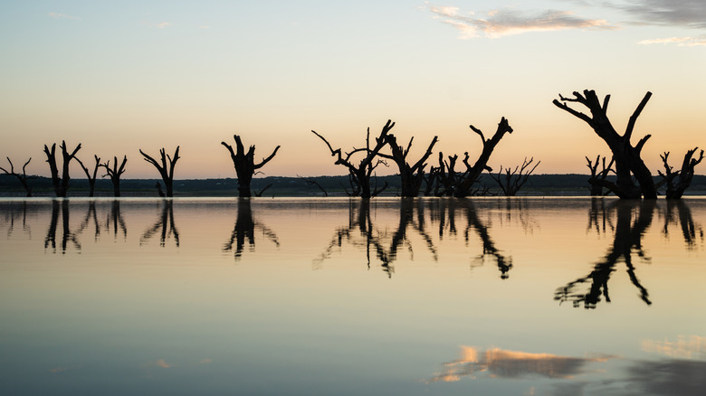 The Cleanest Lakes In All Of Texas With Pristine, Crystal-Clear Waters