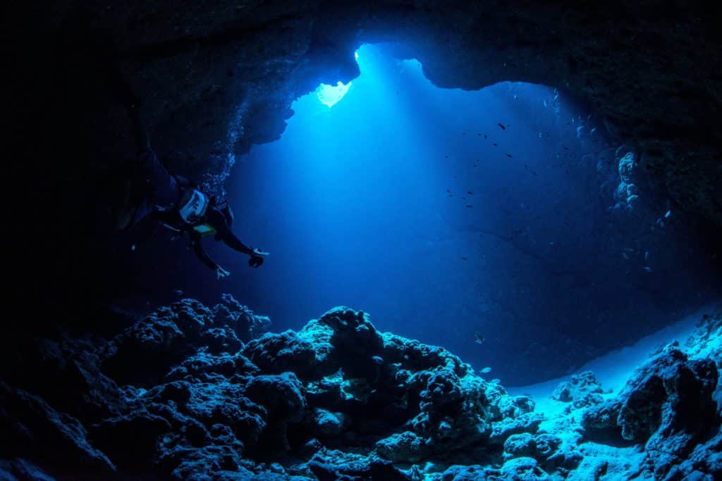 Mysterious Animals Lurk in the Mariana Trench