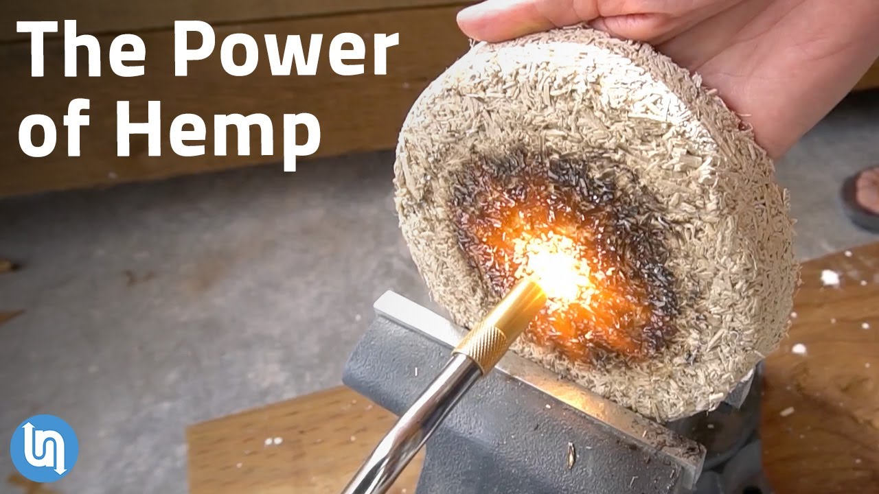 Exploring how this plant could replace concrete