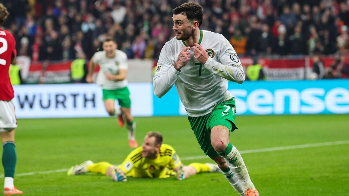 Troy Parrott's Ireland's heroics in Hungary buoy Sky's sponsorship deal ...