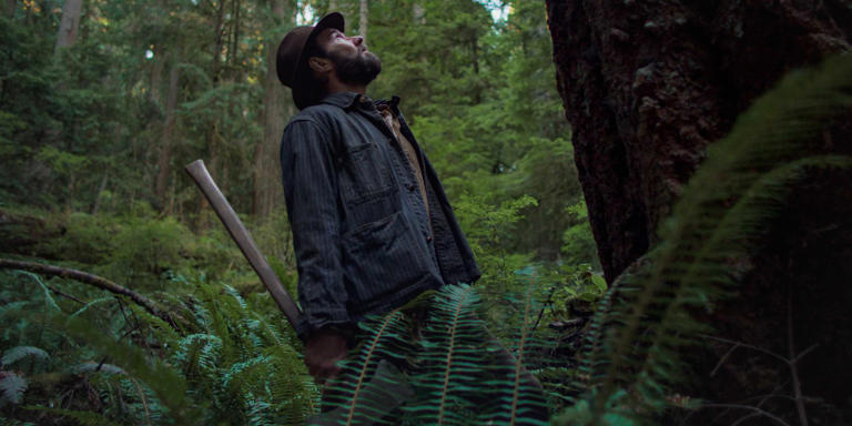 2026 Oscar contenders: Where to stream Sinners, Bugonia, Jay Kelly