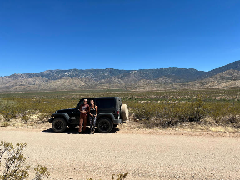 Advocates want to protect a lizard that's vanishing from Arizona's Sky ...